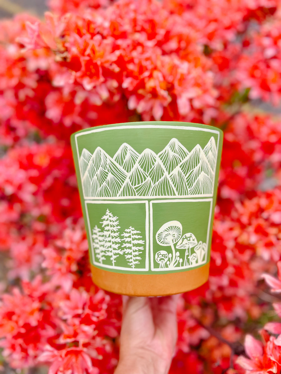 The SPS Planter – Plantlandia
